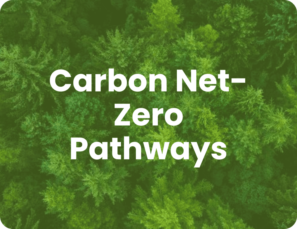 Renewable Energy Solutions